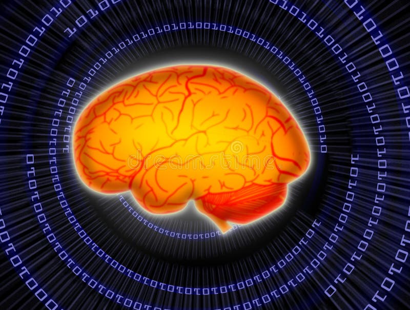 Brain stock illustration. Illustration of numbers, round - 3506276