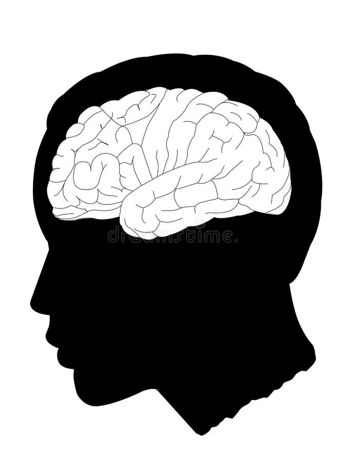 Brain stock vector. Illustration of mind, clip, mentality - 1087454