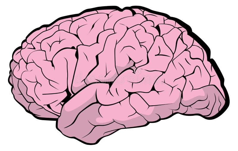 Brain stock vector. Illustration of brainy, clever, think - 8742368