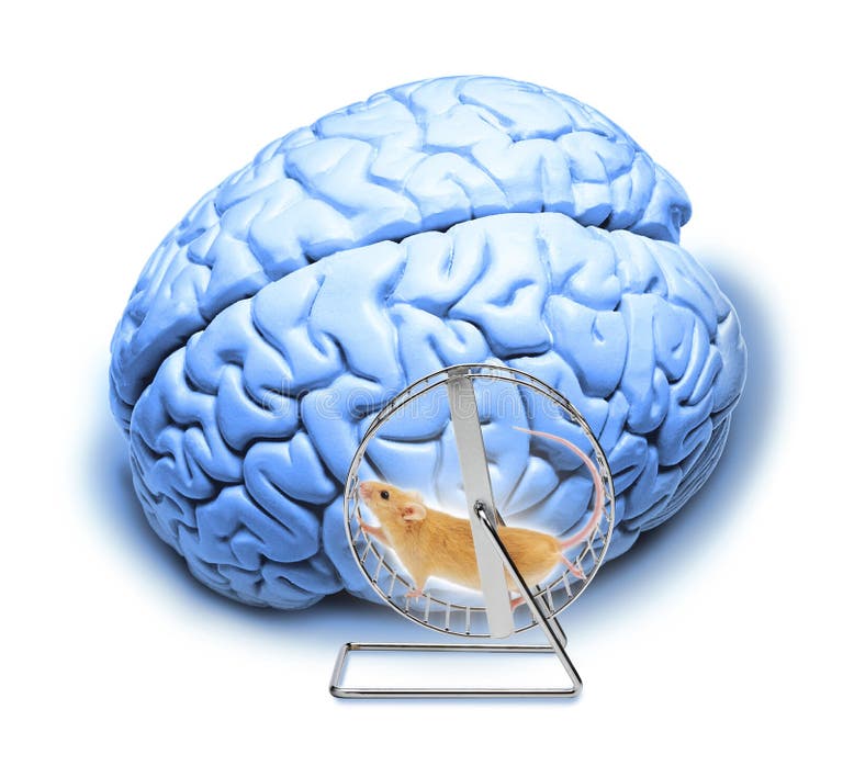 3,190 Exercise Brain Stock Photos - Free & Royalty-Free Stock Photos ...