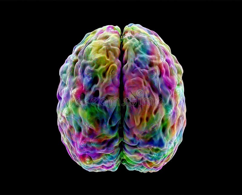 Colored human brain stock illustration. Illustration of intelligence ...