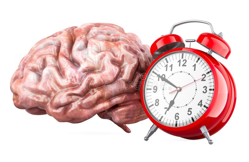 Brain with Alarm Clock, 3D Rendering Stock Illustration - Illustration ...