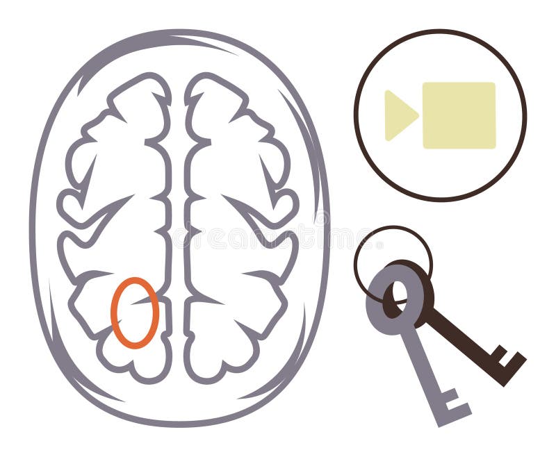 Brain Anatomy with Highlighted Area, Keys and Video Symbol Representing ...