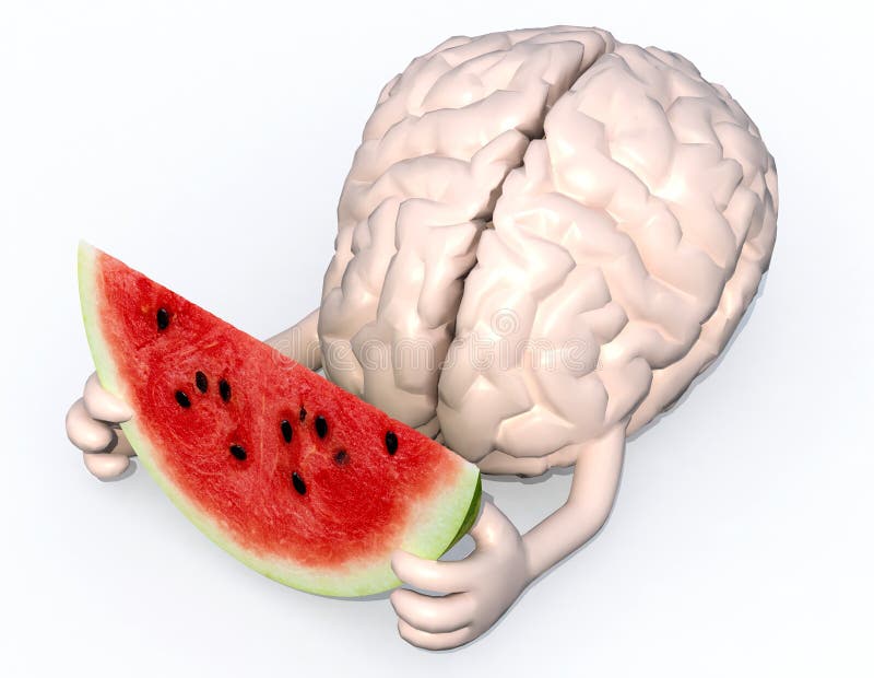 Brain with Arms and a Watermelon Slice on Hands Stock Illustration ...
