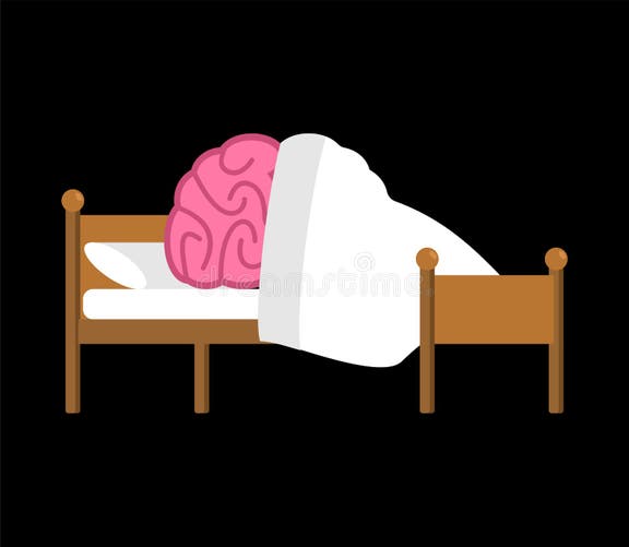 Brain Asleep. Brains are Resting. Brain Sleeps on Bed Stock Vector ...