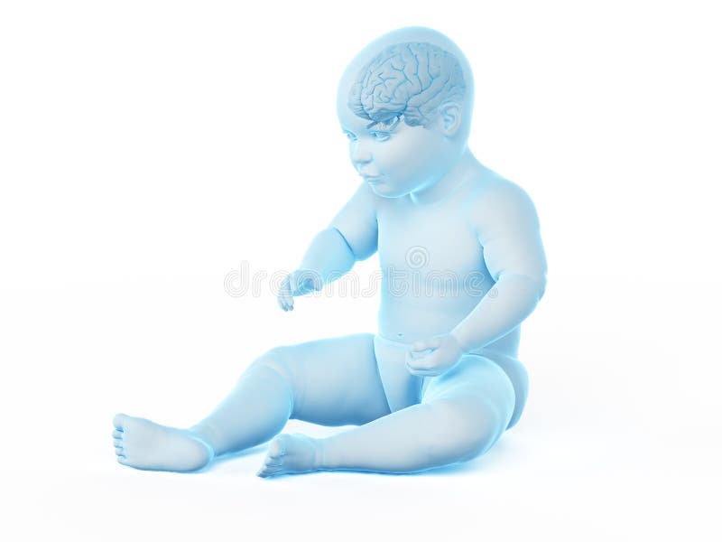 Infant Brain Development Stock Illustrations – 262 Infant Brain ...