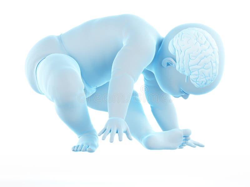 The brain of a baby stock illustration. Illustration of baby - 162297379