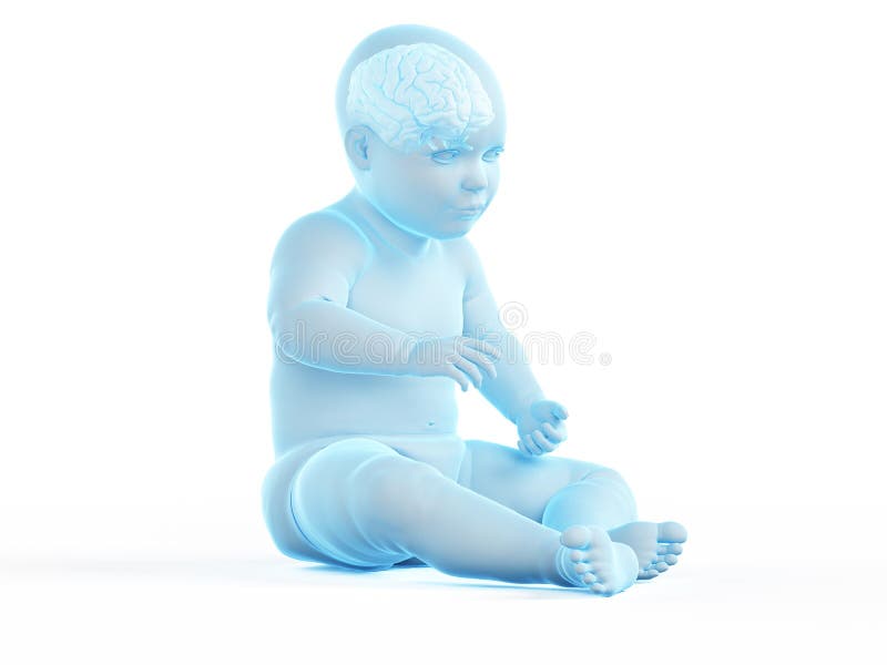 Infant Brain Development Stock Illustrations – 275 Infant Brain ...