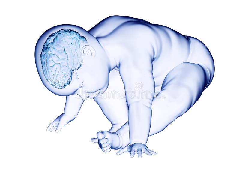 The brain of a baby stock illustration. Illustration of infant - 162297718