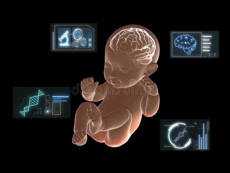 Infant Brain Development Stock Illustrations – 200 Infant Brain ...