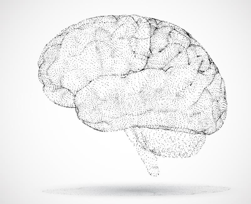 Brain Processing Visual Information Stock Illustrations – 93 Brain ...