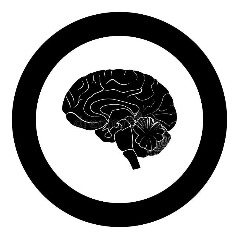 Brain black icon in circle stock vector. Illustration of genius - 113569420
