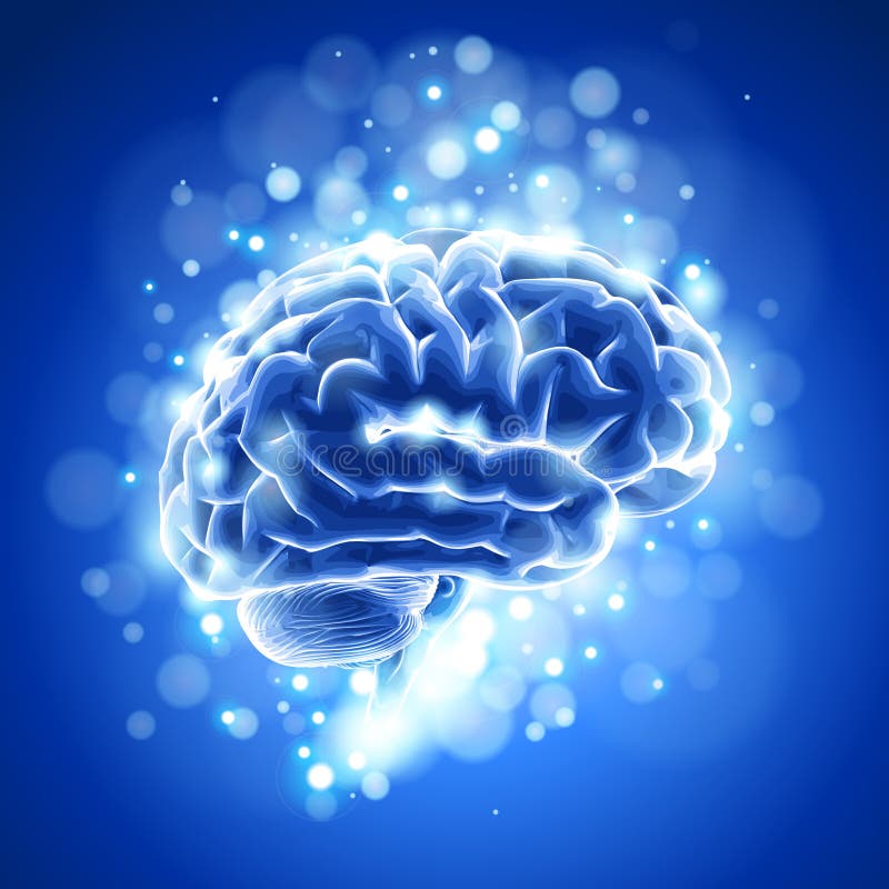 Brain & blue bokeh stock vector. Illustration of medical - 18778573