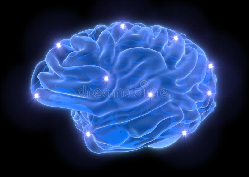 Brain from Blue Neon Lines on Black Background Stock Illustration ...