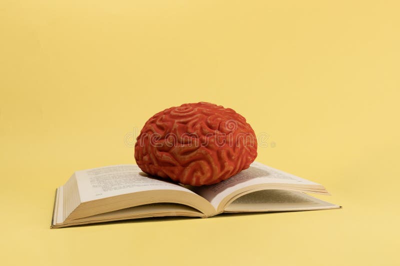 A Brain and Books on Yellow Background, Creative Concept, Ideas. Stock ...