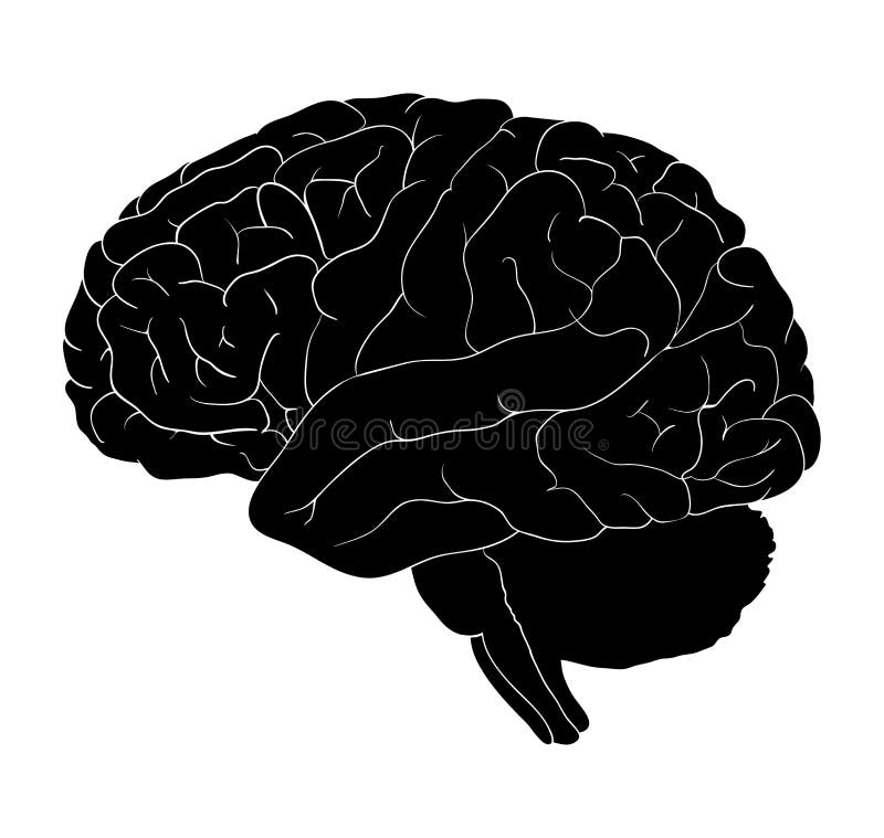 Brain Cartoon Vector Symbol Icon Design. Beautiful Illustration Stock ...