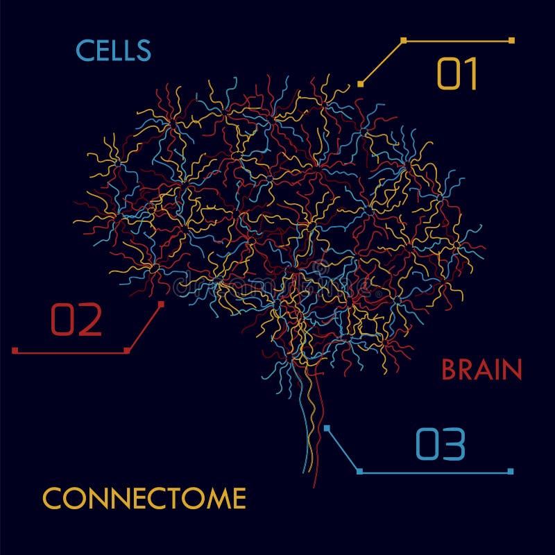 Mind Map Creative Thinking Stock Illustrations – 871 Mind Map Creative ...