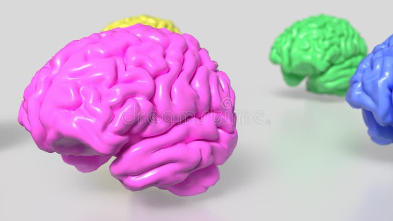 The Multi Color Brain on White Background 3d Rendering Stock ...