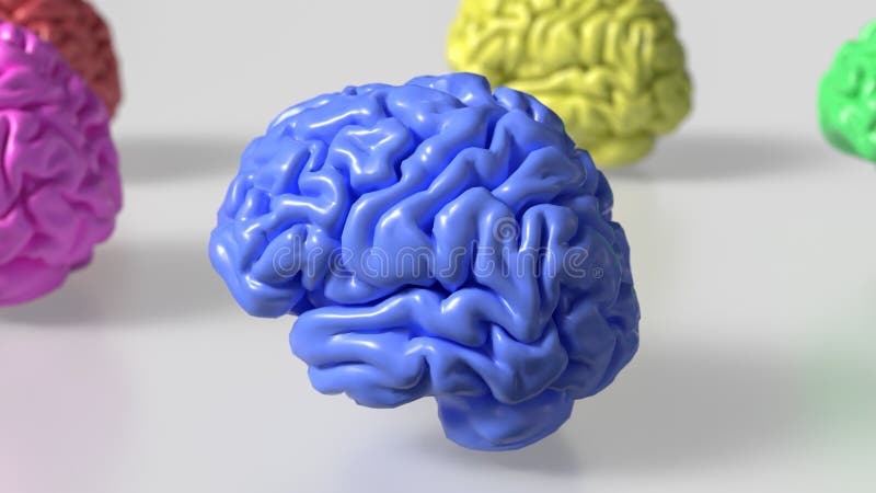 The Multi Color Brain on White Background 3d Rendering Stock ...
