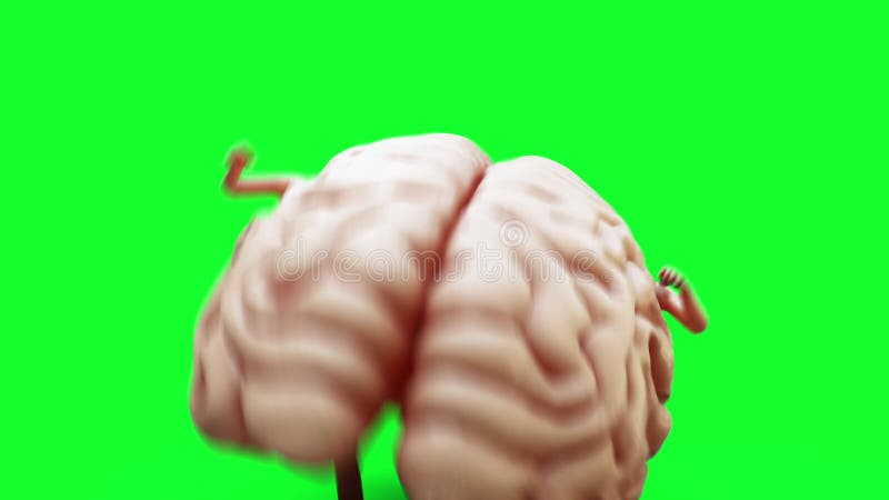 Brain Character. Walk Animation. Realistic 4k Green Screen Animation ...
