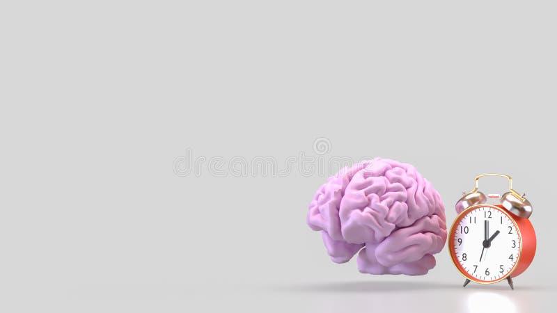 The Brain and Clock for Sci or Health Concept 3d Rendering Stock ...