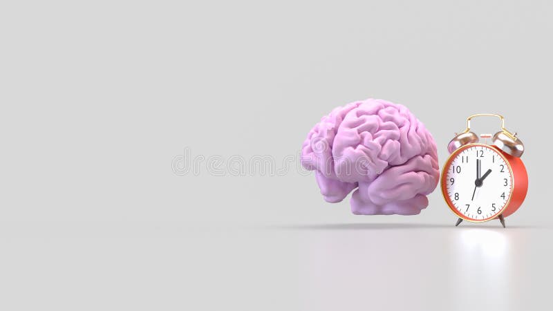 The Brain and Clock for Sci or Health Concept 3d Rendering Stock ...