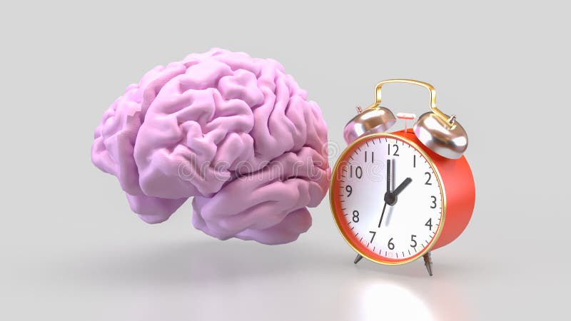 The Brain and Clock for Sci or Health Concept 3d Rendering Stock ...