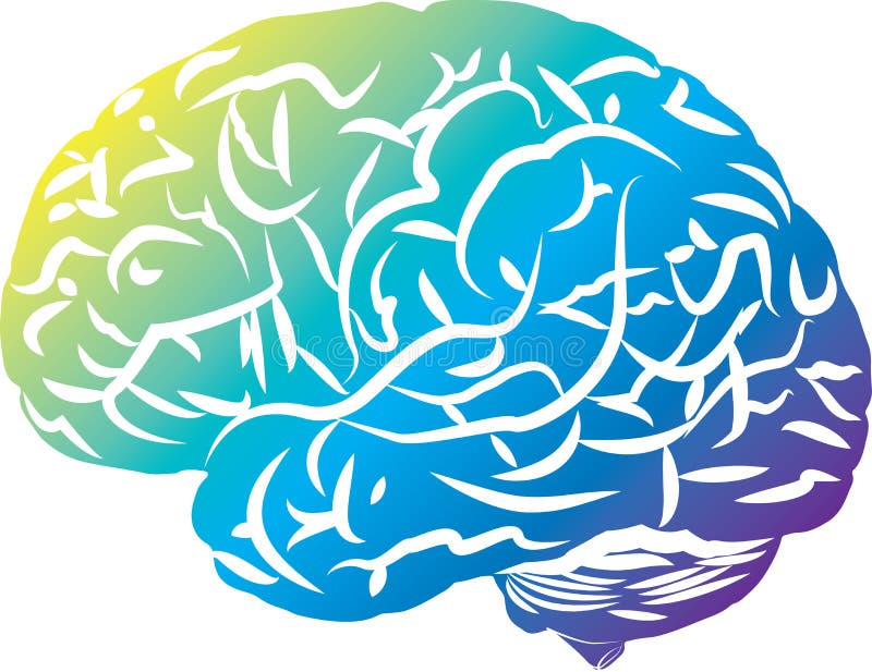 Brain Side View Stock Illustrations – 3,784 Brain Side View Stock ...