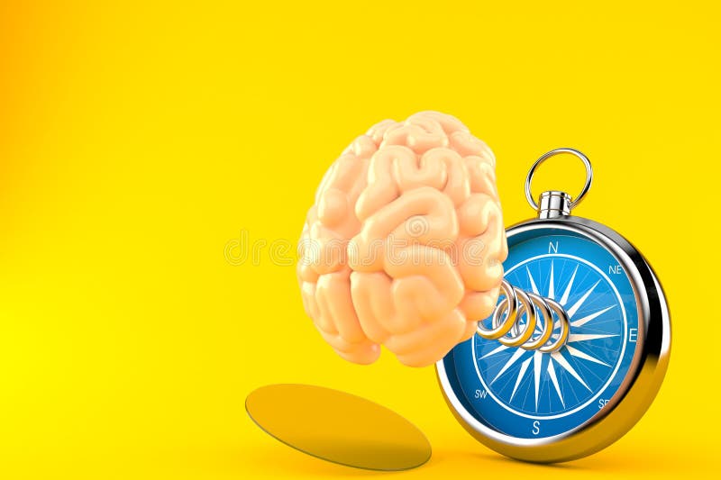 Brain Compass Stock Illustrations – 815 Brain Compass Stock ...