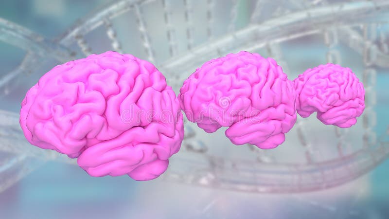 The Pink Brain on DNA Background 3d Rendering Stock Illustration ...