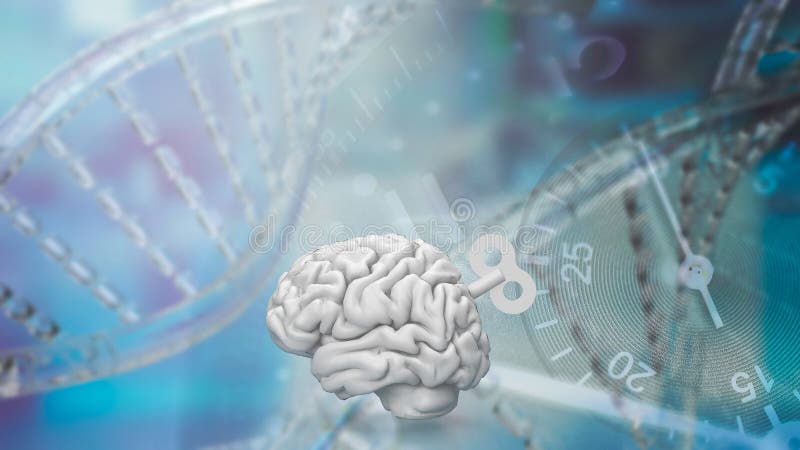 The Human Brain with Wind Up for Medical or Technology Concept 3d ...