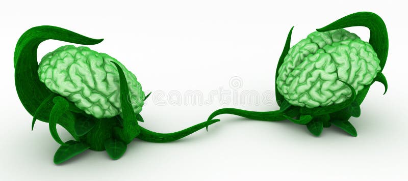 Brain Стоковых иллюстраций и клипартов – (273 Стоковых иллюстраций)