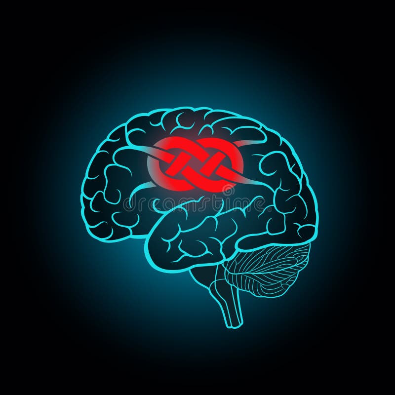 Brain with Convolutions Associated To the Knot Stock Vector ...