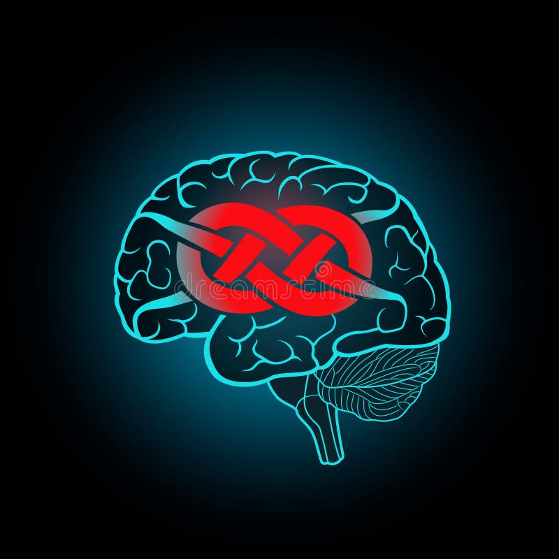 Brain with Convolutions Associated To the Knot Stock Vector ...