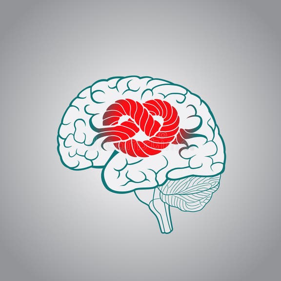 Brain with Convolutions Associated To the Knot Stock Illustration ...