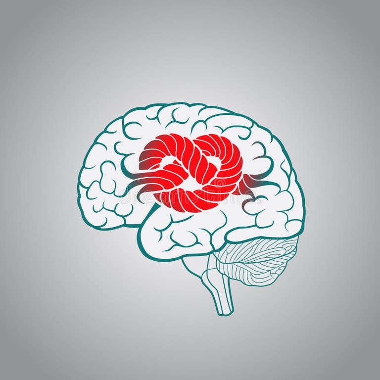 Brain with Convolutions Associated To the Knot Stock Illustration ...