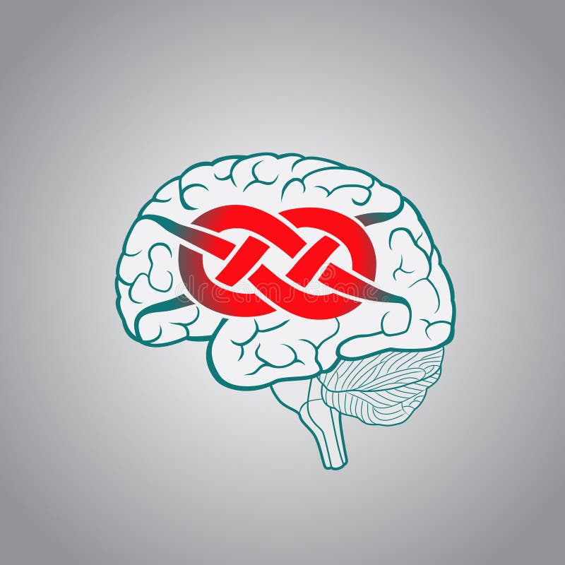 Brain with Convolutions Associated To the Knot Stock Illustration ...