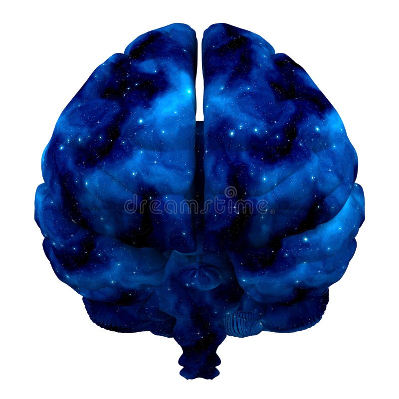 Brain Cosmos Isolated on White 3d Rendering Stock Illustration ...