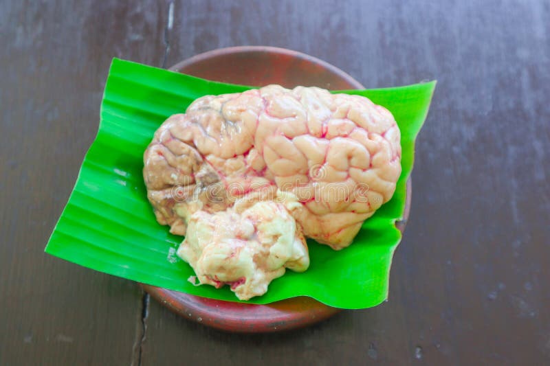 Brain Cow is on a Green Leaf. the Brain Cow is Cut in Half and Has a ...