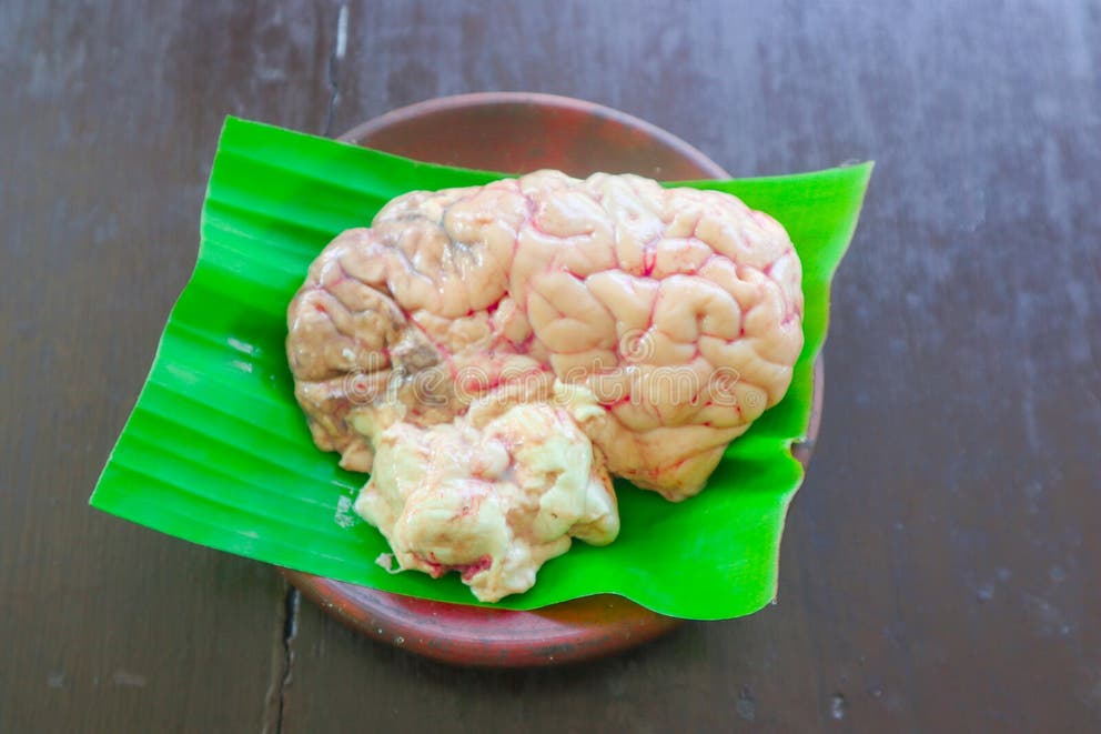 Brain Cow is on a Green Leaf. the Brain Cow is Cut in Half and Has a ...