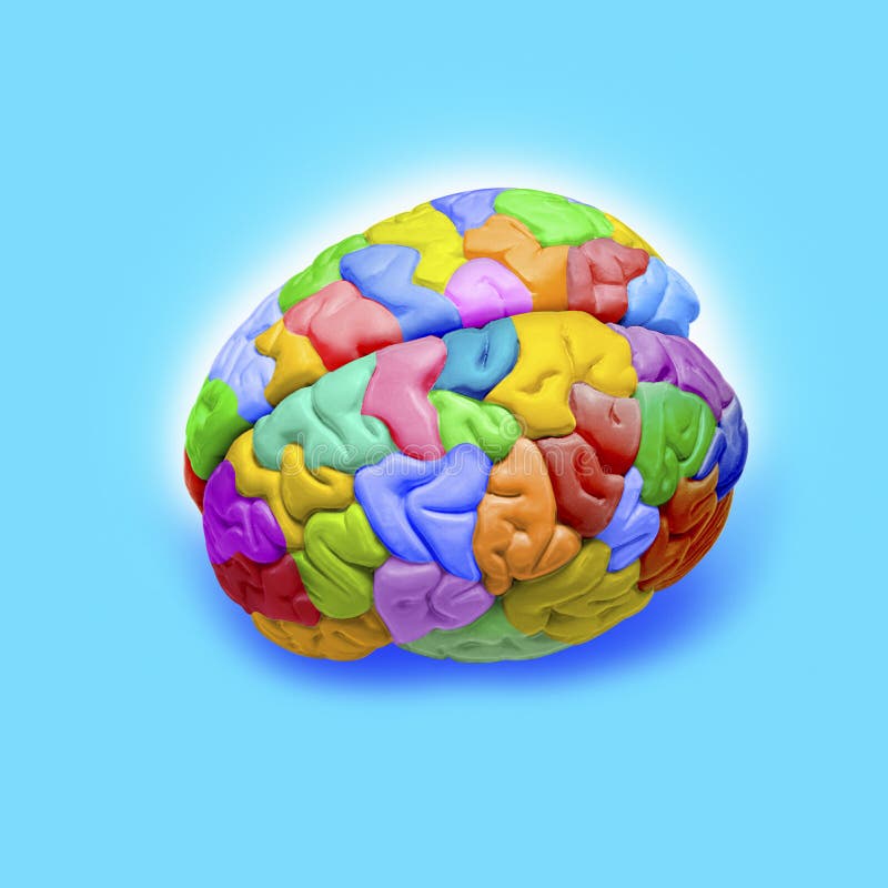 Brain Creativity stock image. Image of brains, emotion - 7383731