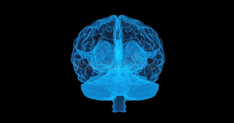 Human brain 3D hologram stock footage. Video of wisdom - 276773956