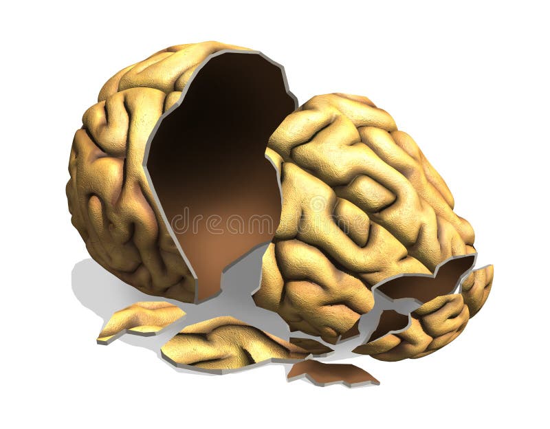 Brain Reconstruction stock illustration. Illustration of cortex - 31785574