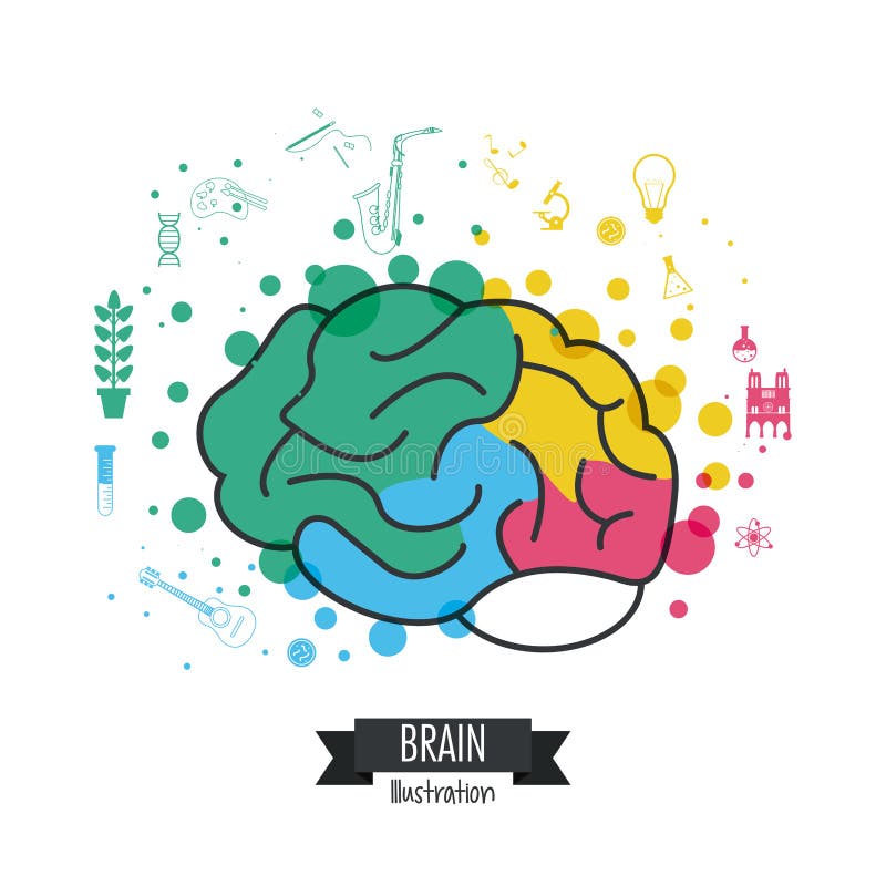 Brain Design. Mind Concept. White Background , Editable Vector Stock ...