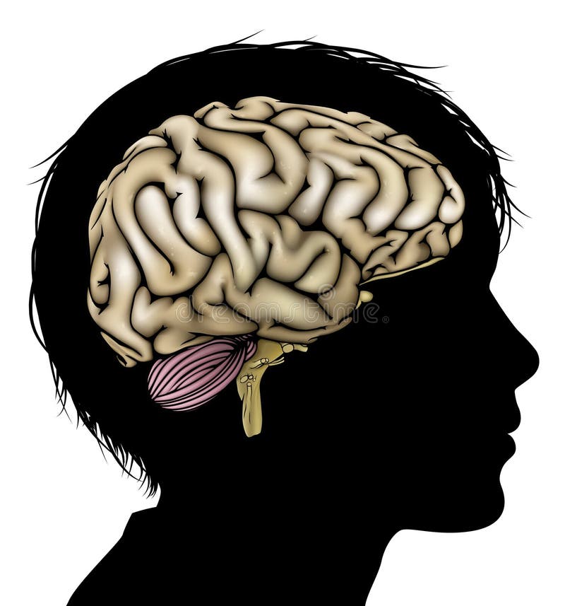 Child brain concept stock vector. Illustration of behavioral - 43386738