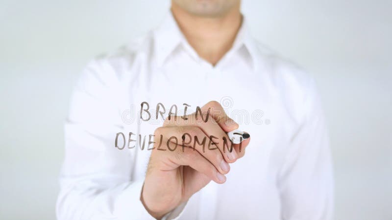 Brain Development, Man Writing on Glass, Handwritten Stock Photo ...