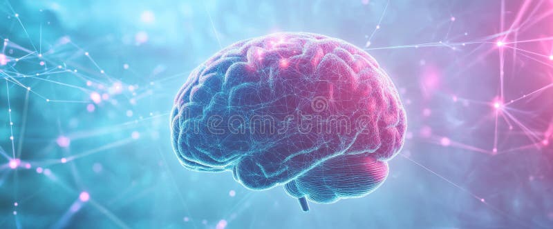 A Brain Diagram, Isolated and Colored, Presented in a Multifaceted ...