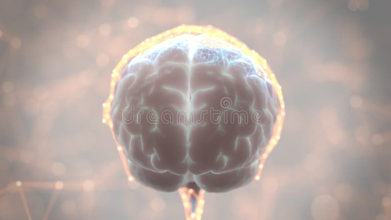 Brain Digital Scanning 360 Frames Loop Stock Footage - Video of idea ...