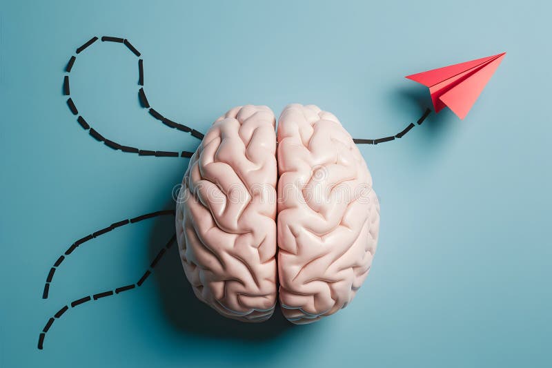 Human Brain Decision Making Stock Illustrations – 1,286 Human Brain ...