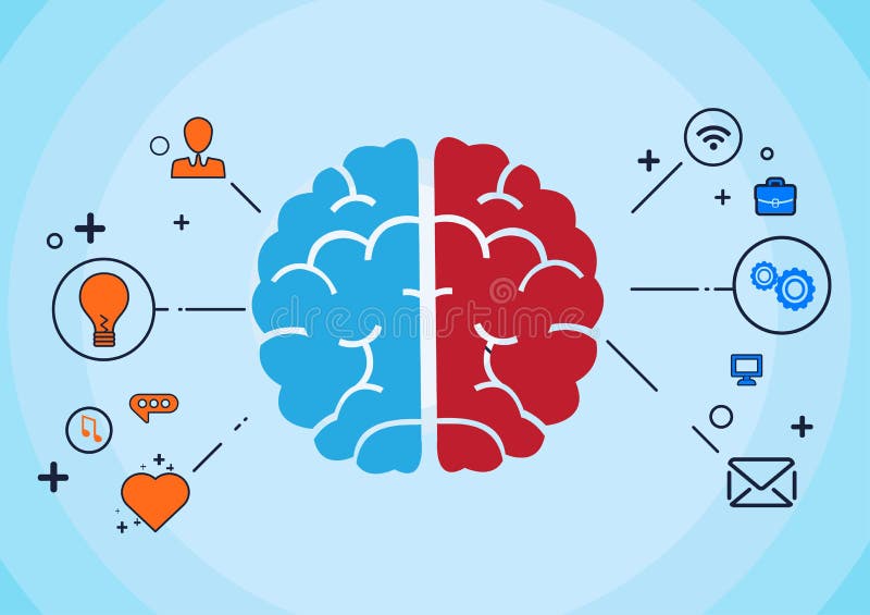 The Brain is Divided into Two Hemispheres. the Left Hemisphere is ...
